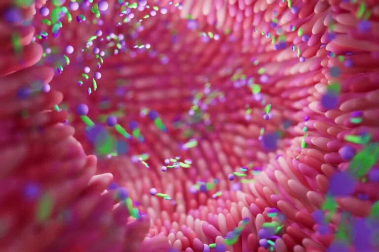 11 Top Probiotic Benefits: Guide to Improving Gut Health - My Good Gut